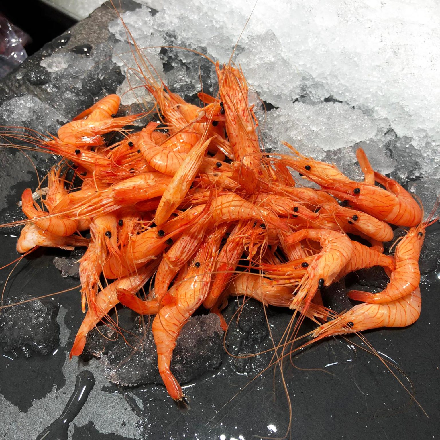 Camarón mediano cocido (Precio kg) – Pescaderias Los Madrileños
